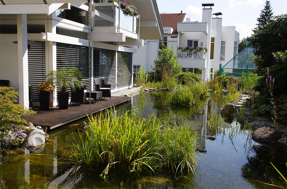 Gestalten Sie sich einen Wassergarten mit Hohenberg